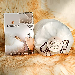 Faux Fur Rug, Fluffy Faux Sheepskin Rugs for Bedroom, White Area Rug, Faux Sheepskin Throw Rug, Fur Carpet for Living Room, Fur Chair Cover (2 x 3 ft, White)