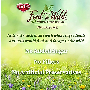 Kaytee 3 Pack of Food from The Wild Natural Snack, 2 Ounces Each, Foraging Treat for Hamsters, Gerbils, Rats and Mice