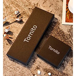 Tornito 20G 36Pcs Stainless Steel L Shaped Nose Ring CZ Nose Stud Retainer Labret Nose Piercing Jewelry (A0：36Pcs, Silver Tone) …