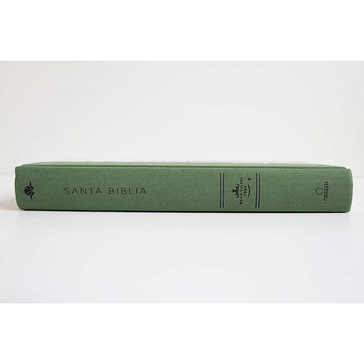 Biblia RVR 1960 letra grande Tapa dura y tela verde con flores tamaño manual / B ible RVR 1960 Handy Size Large Print Hardcover Cloth with Green Floral