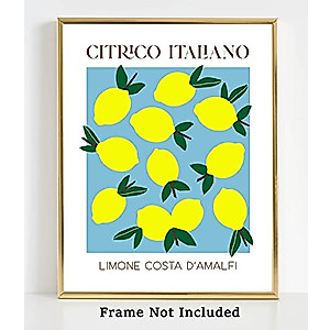 Abstract Fruit No.11 Lemons Exhibition Wall Art Print. 11x14 UNFRAMED Modern Kitchen Wall Decor. Shades of Green, Yellow & Blue on White.