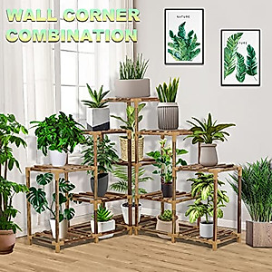 AWLYLNLL Wood Plant Stand Indoor for Living Room,Mutilple Plants Tiered Plant Shelf Outdoor Garden Decor , Ladder Plant Holder Table Plant Pot Stand for Window Balcony Home Decor