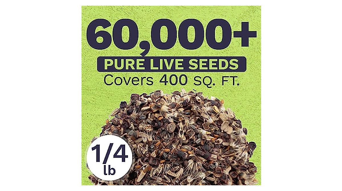 Perennial Wildflower Seeds Mixture - Bulk 1/4 Pound Bag - Over 60,000 ...