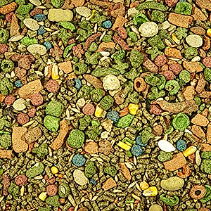 Kaytee Fiesta Guinea Pig Food,25 lb