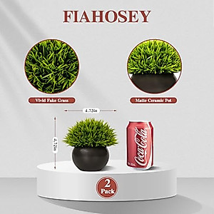 FIAHOSEY Fake Potted Plants Small Artificial Grass with Matte Black Ceramic Pots Faux Plant Greenery for Bathroom Living Room Office Tabletop Desk Shelf Decoration