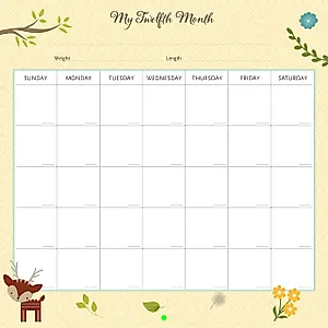 My Life as a Baby: A First-Year Calendar (Woodland Friends)