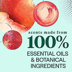 Seventh Generation All Purpose Cleaner, Degreasing Formula, Fresh Morning Meadow Scent, 23 oz (Pack of 4)