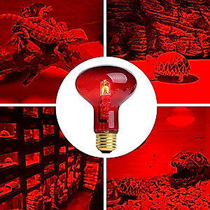 FIVEAGE 75W Red Heat Light Reptile Heat Lamp Infrared Bulb UVA Basking Spot Bulb for Reptile and Amphibian Use - Bearded Dragons Lizard Tortoise Snake Chameleon 2 Pack