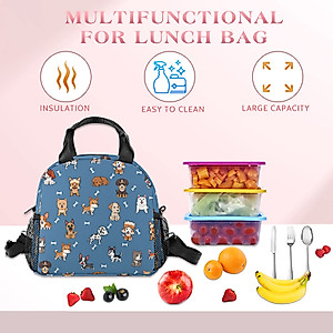 Roftidzo Lunch Bag for Boys Girls Men Women, Reusable Insulated Tote for Picnic Camping Office Work, Adjustable Shoulder Strap, 10x6x8 Inches