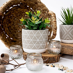 Kurrajong Farmhouse Artificial Plant | 8" Fake Plant for Desk Decor | Artificial Succulent in Pot | Fake Succulent | Faux Plant Indoor | Succulent Plant Artificial | Faux Succulent for Shelf Decor