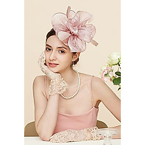 Gionforsy Kentucky Derby Hat Fascinator Veil Fascinator Headband Lace Gloves Imitation Pearl Necklace Earrings Feather Pillbox Fascinator for Wedding Tea Party (Style 6-Pink)