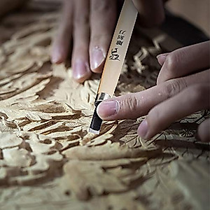 WAYCOM 24PCS Wood Knife Kit Set Wood Carving Kit,Professional Chisel Set, including Small, Middle, Large size (24PCS)