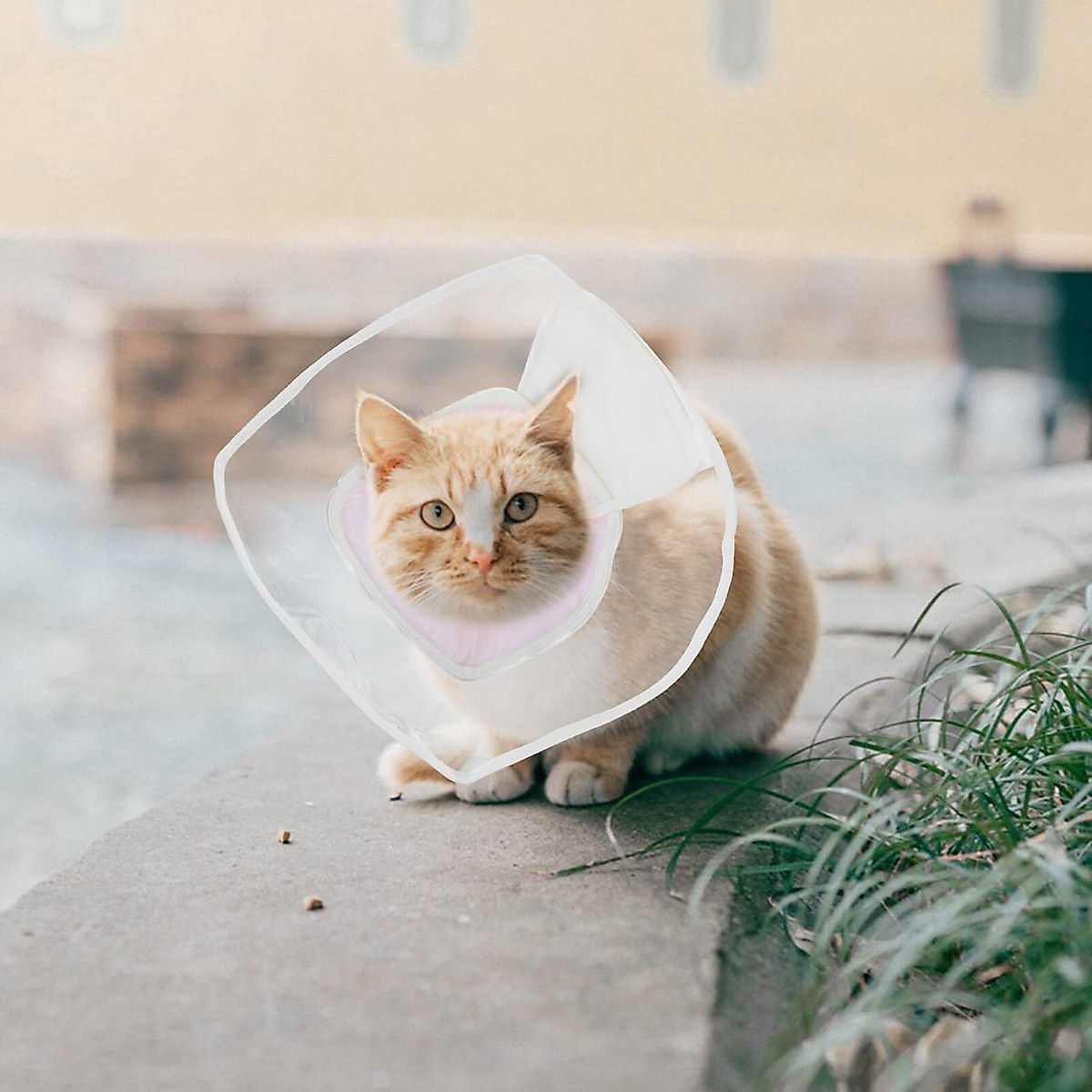POPETPOP Compound Cone Collar Cat Neck Circle Surgery Recovery Collar Cat Neck Cone Dog Cone Pet Recovery Collar Pet Supply Pet Collars Cat -Licking Collar -Scratch PVC Neck Ring