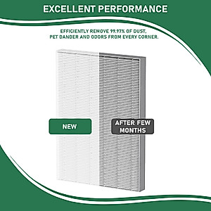 Carmerny AeraMax 300 True HEPA Filter Replacement Compatible with Fellowes AeraMax 290 300 DX95 Air Cleaner Purifier, HF-300/AP-300PH, Part# 9287201 True HEPA Only 3 Pack