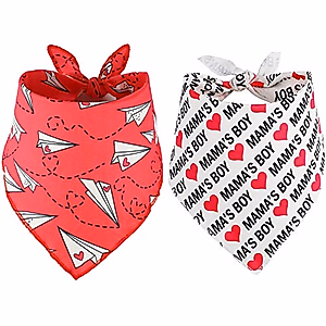 2 Pack Valentine's Dog Bandana, Puppy Valentine Scarfs for Small Dogs Cats