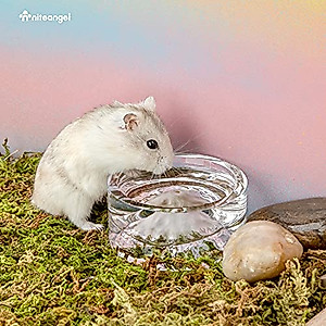Niteangel Hamster Feeding & Water Bowls- Mount Fuji Series Glass Drinking Bowls for Dwarf Syrian Hamsters Gerbils Mice Rats or Other Similar-Sized Small Pets