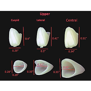 Temporary Tooth Crown Fake Teeth Repair Material Front & Molar Posterior offering Help in Fixing Missing Broken Tooth (2 boxes around 100 pcs)