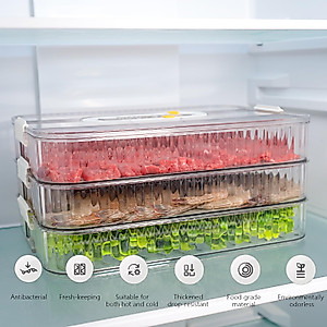 REDANT Deli Containers with Lids for Refrigerator Organizers and Storage - Airtight Deli Meat Container for Fridge - Plastic Meal Prep Containers Reusable for Lunch Meat, Ham and Bacon, 3 Layers