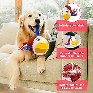 Dog Toy Balls for Aggressive Chewers with Crinkle Paper Interactive Outdoor Dog Toys for Tug of War Chase Toy with Rope Fun Fetch Rugby Ball Bird Themed Toy for Small Medium Large Dogs (Eagle)