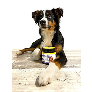 Profound Pets Pet Allergy and Itch Relief, Dog Allergy Chews, Intermittent Itchiness, Pet Probiotic, Seasonal Allergies - Anti Itch Support