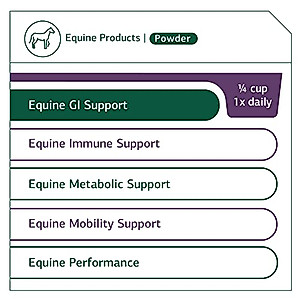 Standard Process Equine GI Support - Whole Food Horse Supplies for Digestive Health and Liver Support with Magnesium Citrate, Buckwheat, Sunflower Lecithin, Kale, Inulin, Brussels Sprouts - 30 Ounce