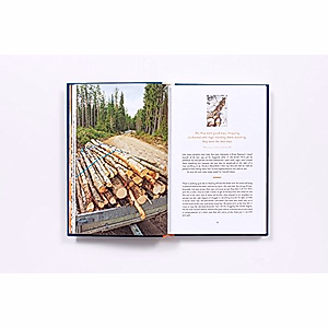 Norwegian Wood: Chopping, Stacking, and Drying Wood the Scandinavian Way