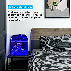 CFPATT Aquarium Square Starter Kit Ultra Clear Glass Rimless Low Iron Fish Tank with Rear Filtration Chamber for Beginners 5 Gallon