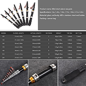 LIZHOUMIL Mini Fishing Pole, Ultra Light Telescopic FRP Fishing Rod, Portable Mini Sea Pole, Short Pole Ceramic with Guide Multiple Sizes for Chosen 1.0m