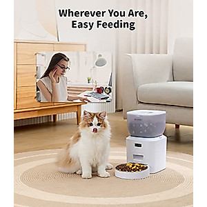 WUIPET Automatic Cat Feeders, Anti-Clogging Design Pet Dry Food Dispenser with Voice Recorder, Timed Cat Feeder with Desiccant Bag, Programmable Timer Pet Feeder - Up to 20 Portions 6 Meals Per Day