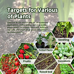 Coco Coir Brick for Plants, 2 Packs 100% Natural Organic Compressed Coconut Coir Fiber with Low EC & PH Balance, High Nutrition Coconut Soil Coco Fiber for Planting, Herbs