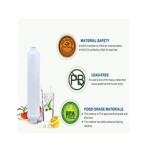 CFS 10" Post Carbon Filter 1/4" Female (FPT) T33 Inline Coconut Grade Activated Carbon Pre/Post Membrane Filter for Taste and Odor Reduction