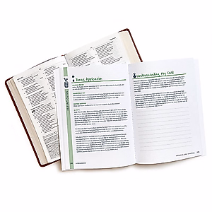 Homegrown - Bible Study Book: Cultivating Kids in the Fruit of the Spirit