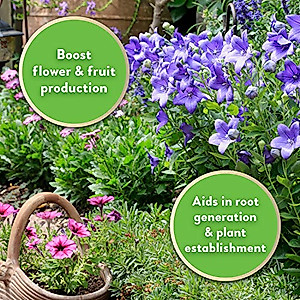 Seedlingers L-PF-032-C Plant Fertelixir 32oz Concentrate