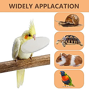 Jmxu's Cuttlebone for Birds, Natural Bird Calcium for Parakeet Cuddle Bone for Cockatiels Tortoise, 4.5 to 5.5 inch