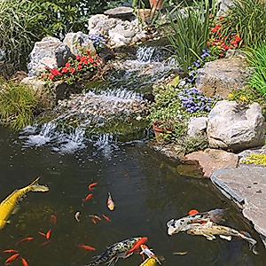 TetraPond Koi Growth 4.85 Pounds, Soft Sticks, Pond Fish Food