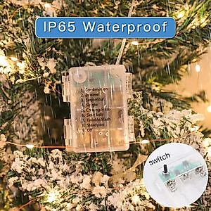 Whalegend Outdoor Lights 2 Pack 33ft 100LED Battery Powered Copper Wire String Lights 8 Modes with Remote Control for Bedroom Christmas Party Home Wedding Decorations Garden Indoor Decor Warm White