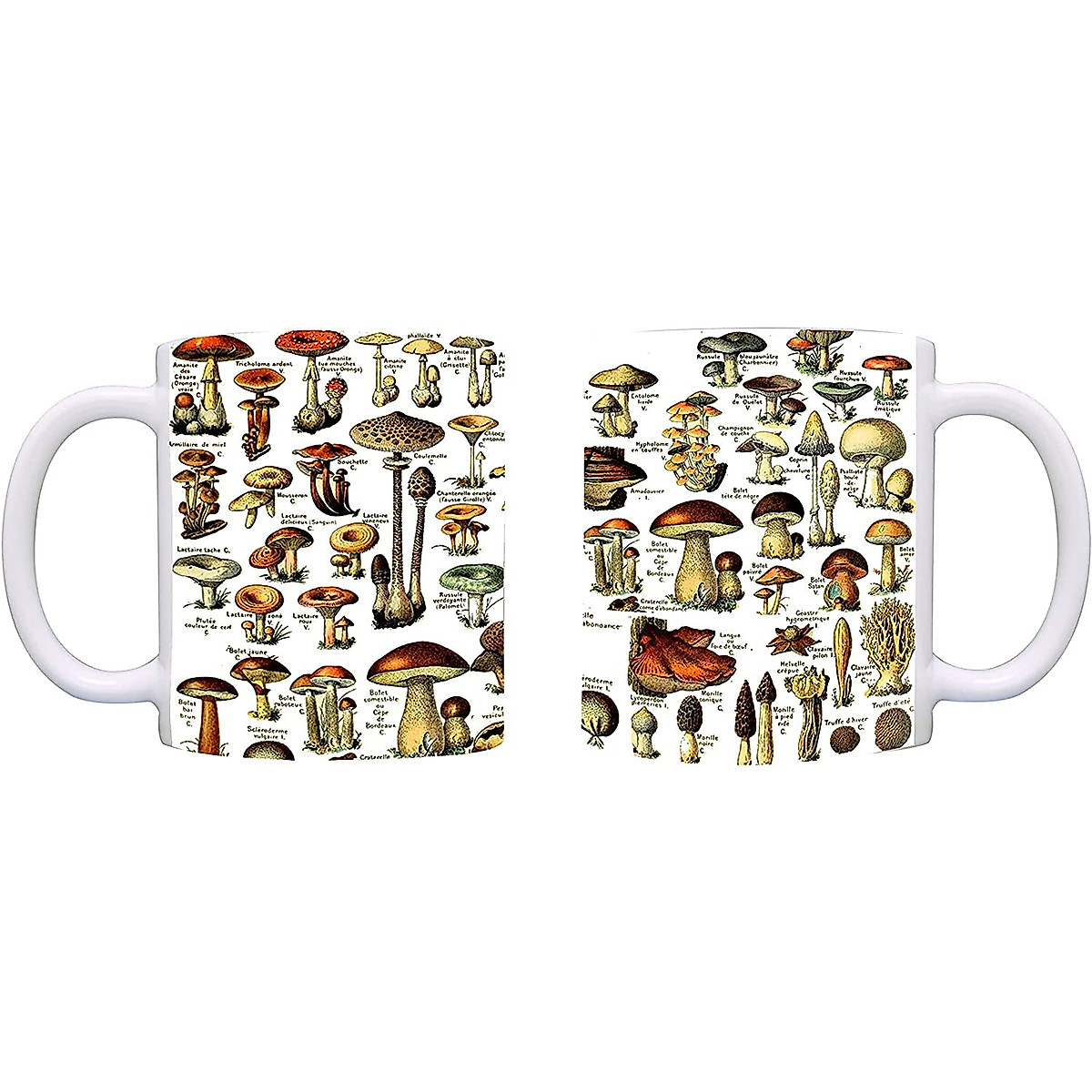 Generic Funny Coffee Mug Vintage Mushroom & Fungi Chart Coffee Mug white 11 Oz