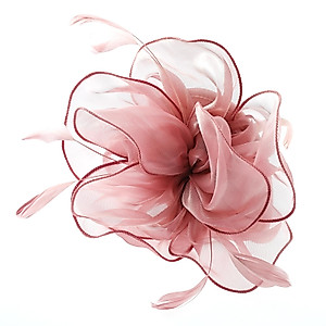 Fascinators Hats for Women Kentucky Derby Tea Party Hat Wedding Mesh Ribbons Cocktail Fancy Flower Feathers Fascinator Clip Pink