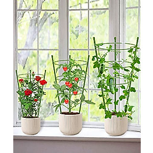 4 Pack Garden Plant Support Tomato Cage, Upgrade 24" Trellis for Climbing Plants, Plant Trellis Kits with 4 Self Watering Spikes and 20 Plant Clips (24")