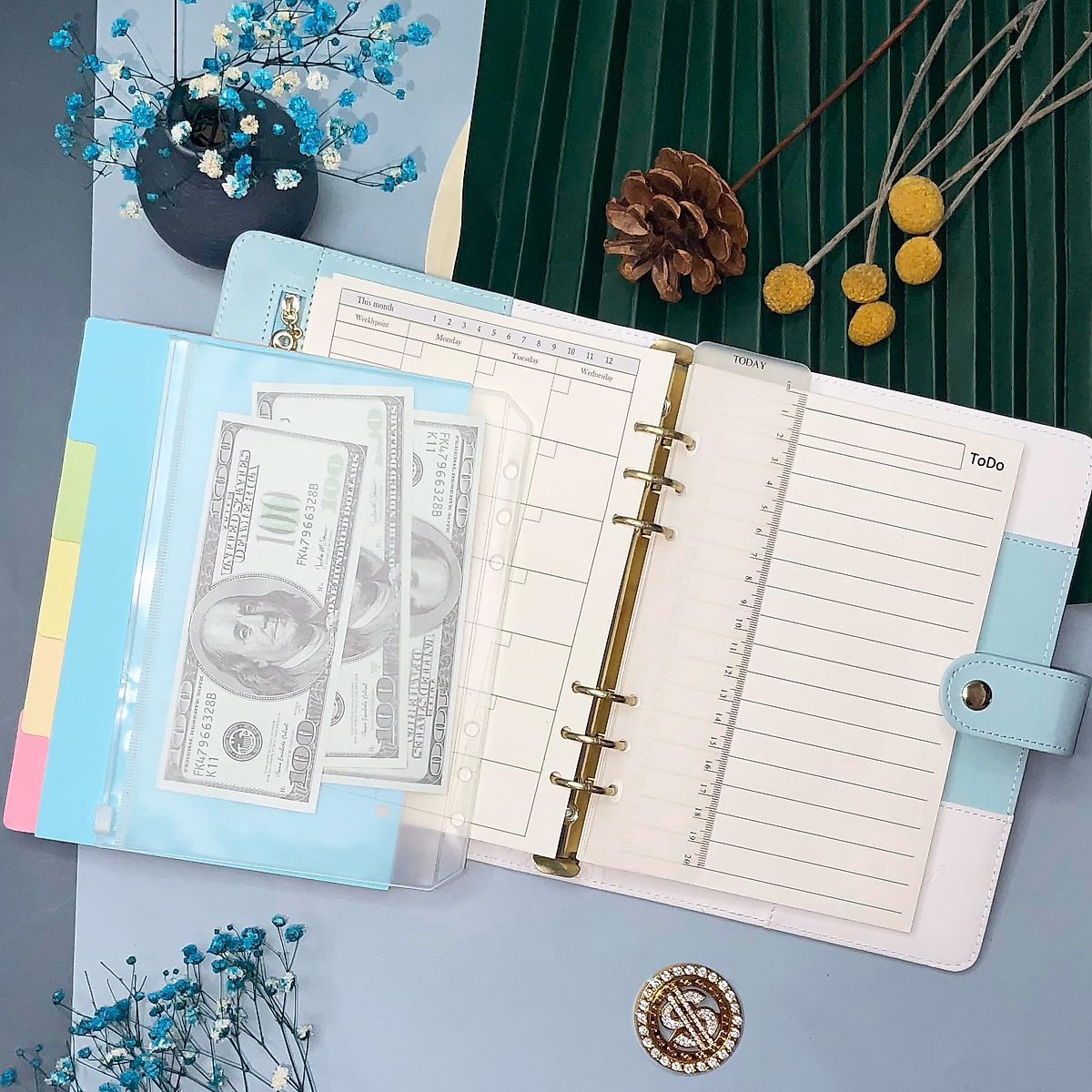 A5 6-Ring Planner kit with Planner Refill Inserts, Cash Pockets, Matched Labels, Christmas Gift Kit with Gift Box,Card and Pen 9.25 x 7.08'' (Harphia, 142B-Mint)