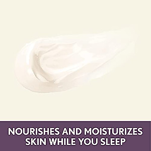 Aveeno Absolutely Ageless Restorative Night Cream Facial Moisturizer with Antioxidant-Rich Blackberry Complex, Vitamin C & E, Hypoallergenic, Non-Greasy & Non-Comedogenic, 1.7 fl. oz (Pack of 2)