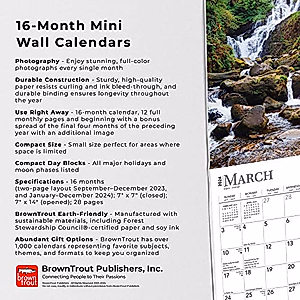 Ireland | 2024 7 x 14 Inch Monthly Mini Wall Calendar | BrownTrout | Scenic Travel Dublin Irish