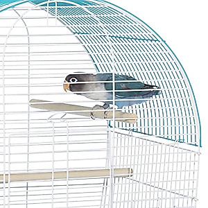 Prevue Pet Products South Beach Dome Top Bird Cage, Teal (SP50071),14 1/8" L x 11 1/4" W x 18 1/8" H