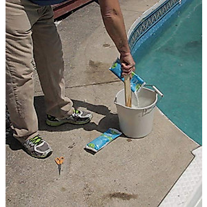 Rx Clear Super Shock for Swimming Pools | Chlorinator and Algaecide | 68% Calcium Hypochlorite Shock | Kill Pool Algae for a Crystal Clear Pool | One Pound Bags | 12 Pack