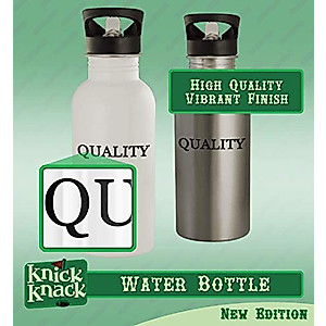 Knick Knack Gifts got skinful? - 20oz Stainless Steel Water Bottle, Silver