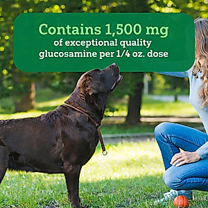 Flexicose Pet - Liquid Joint Care - 8 fl oz (2 Bottles) - Liquid Dog Treats with Glucosamine for Joint Pain Relief - Hip and Arthritis Support - Joint Supplement for Cats and Dogs
