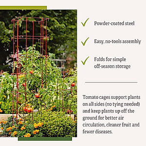 Gardeners Supply Company Lifetime Tomato Cages Plant Stand | Heavy Gauge Sturdy Garden Plants Support for Tomatoes and Other Climbing Plants | No Assembly Needed - Red (Set of 4)
