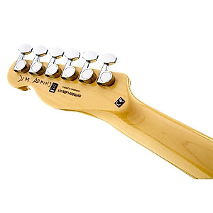 Fender Jim Adkins JA-90 Thinline Telecaster Electric Guitar, with 2-Year Warranty, Natural, Laurel Fingerboard