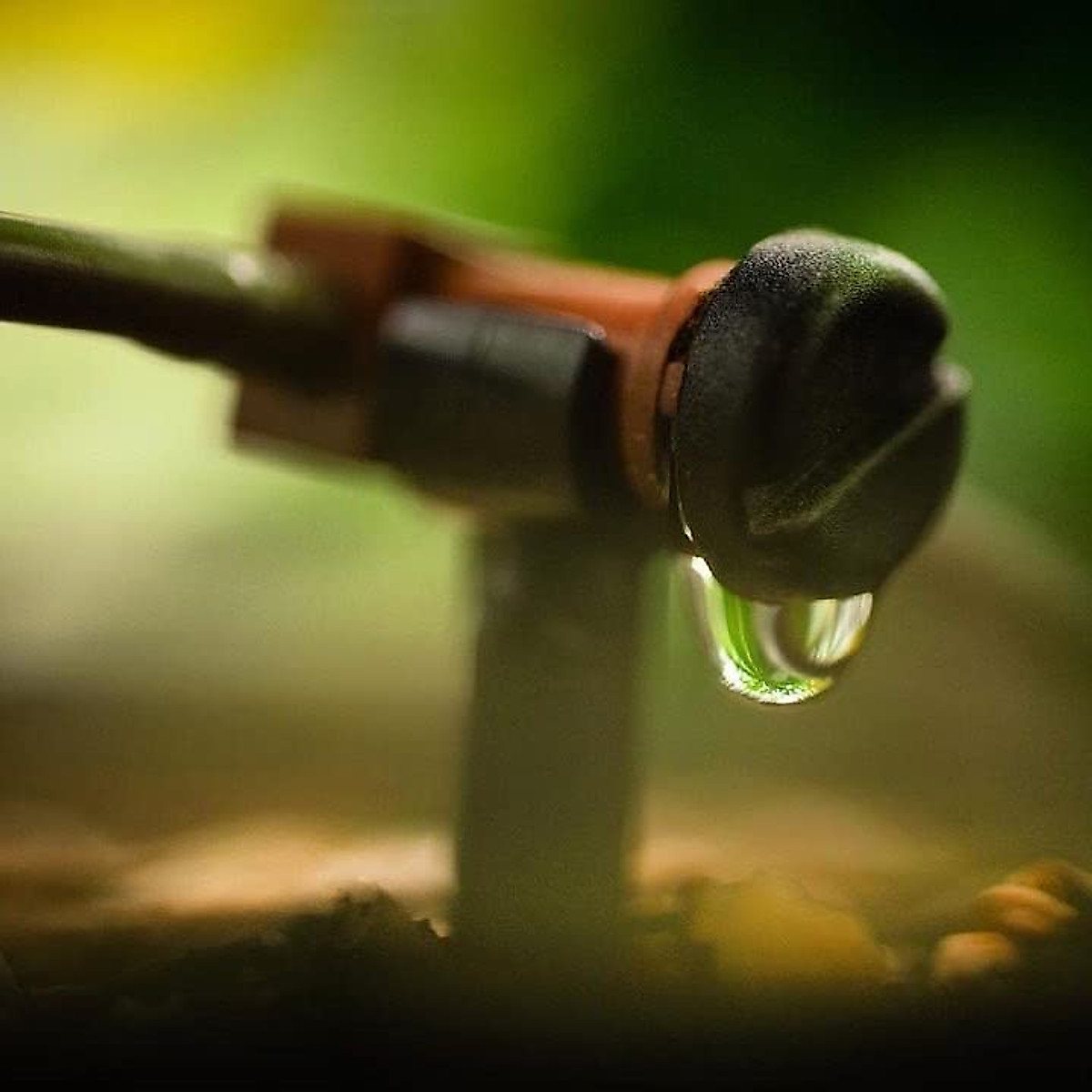 Blumat 50 Distributor Drippers with 10 End Pieces to Attach to Watering System Parts | Water Evenly Garden, Balcony Plants (50 Pieces, 10 End Pieces)