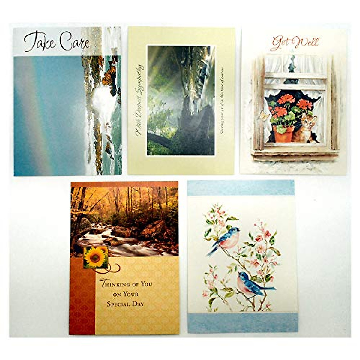 50 Assorted Everyday All Occasion 5 by 7 Greeting Cards with Envelopes, 34 Birthday, 4 Sympathy, 4 Blank, 2 Thank You, 2 Get Well, 2 Thinking of You, and 2 Anniversary Congratulations